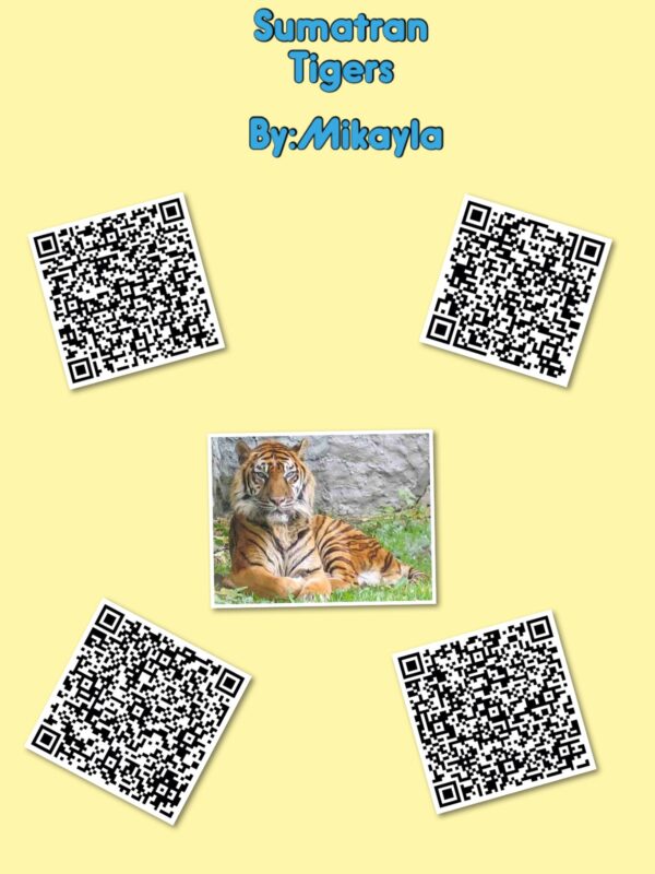 "Project QR Code" - QR Code Summary Posters - MsJordanReads